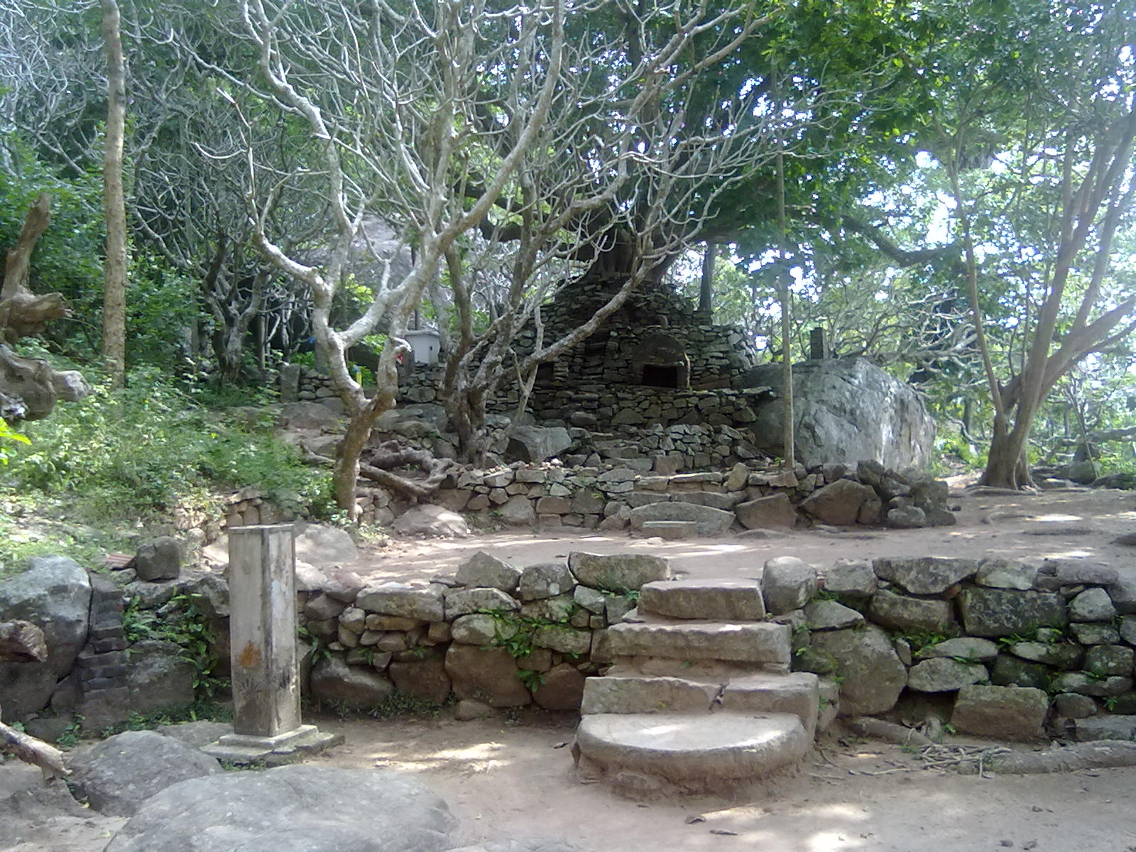 Visiting Wonders: Avukana and Sasseruwa (Ras Wehera) Buddha Statues