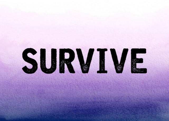 Running from the Law: 2016 Word of the Year