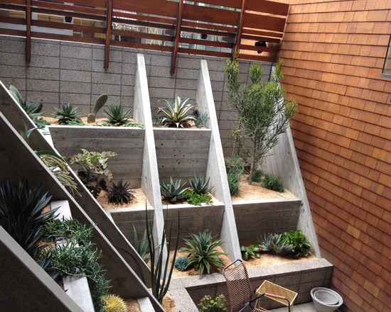 paradis express: Daniel Nolan