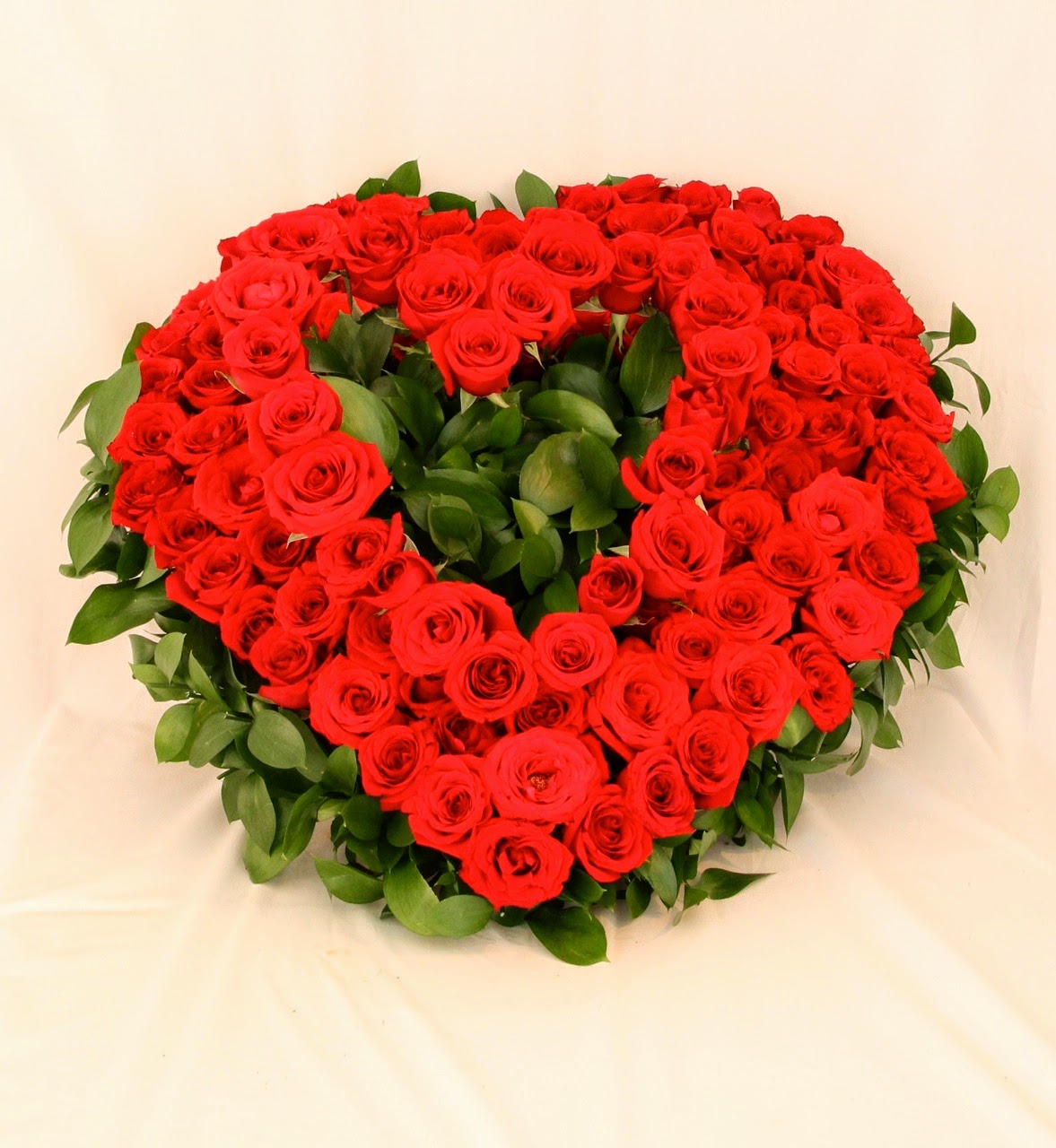 floristerias en medellin: ORQUÍDEA AEREA VANDA!!!