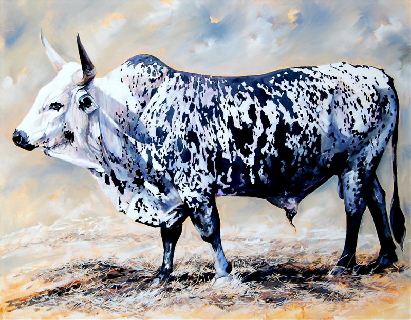 TERRY KOBUS - ORIGINALS GALLERY: Nguni Cattle