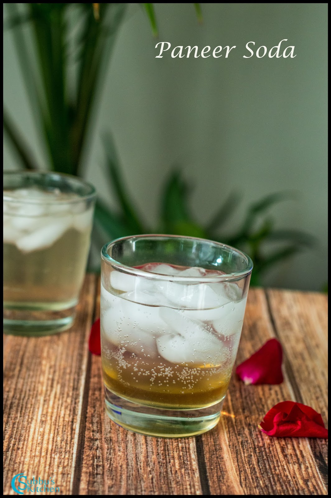 Homemade Paneer Soda - Subbus Kitchen