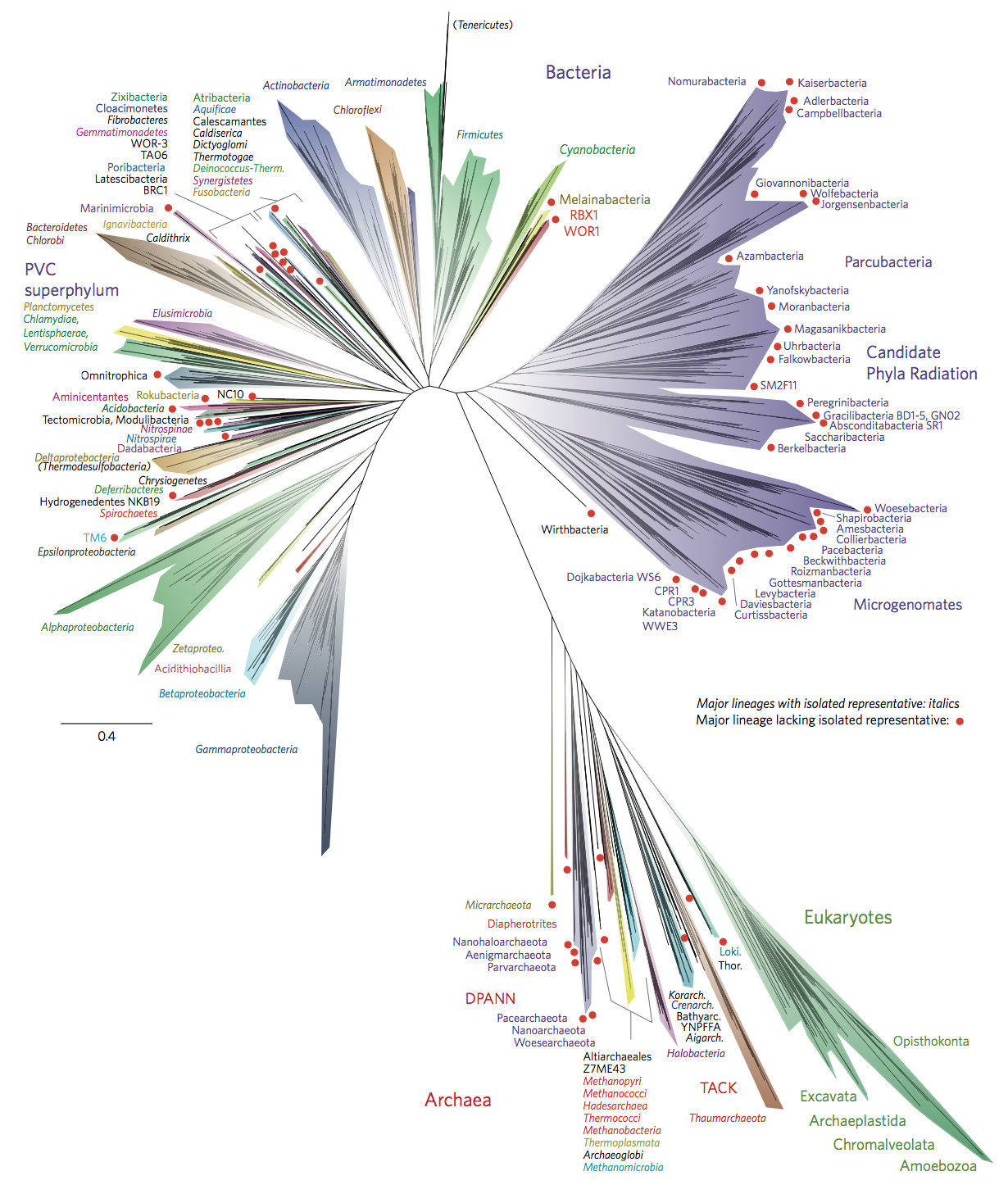 Meridianos: El nuevo árbol de la vida