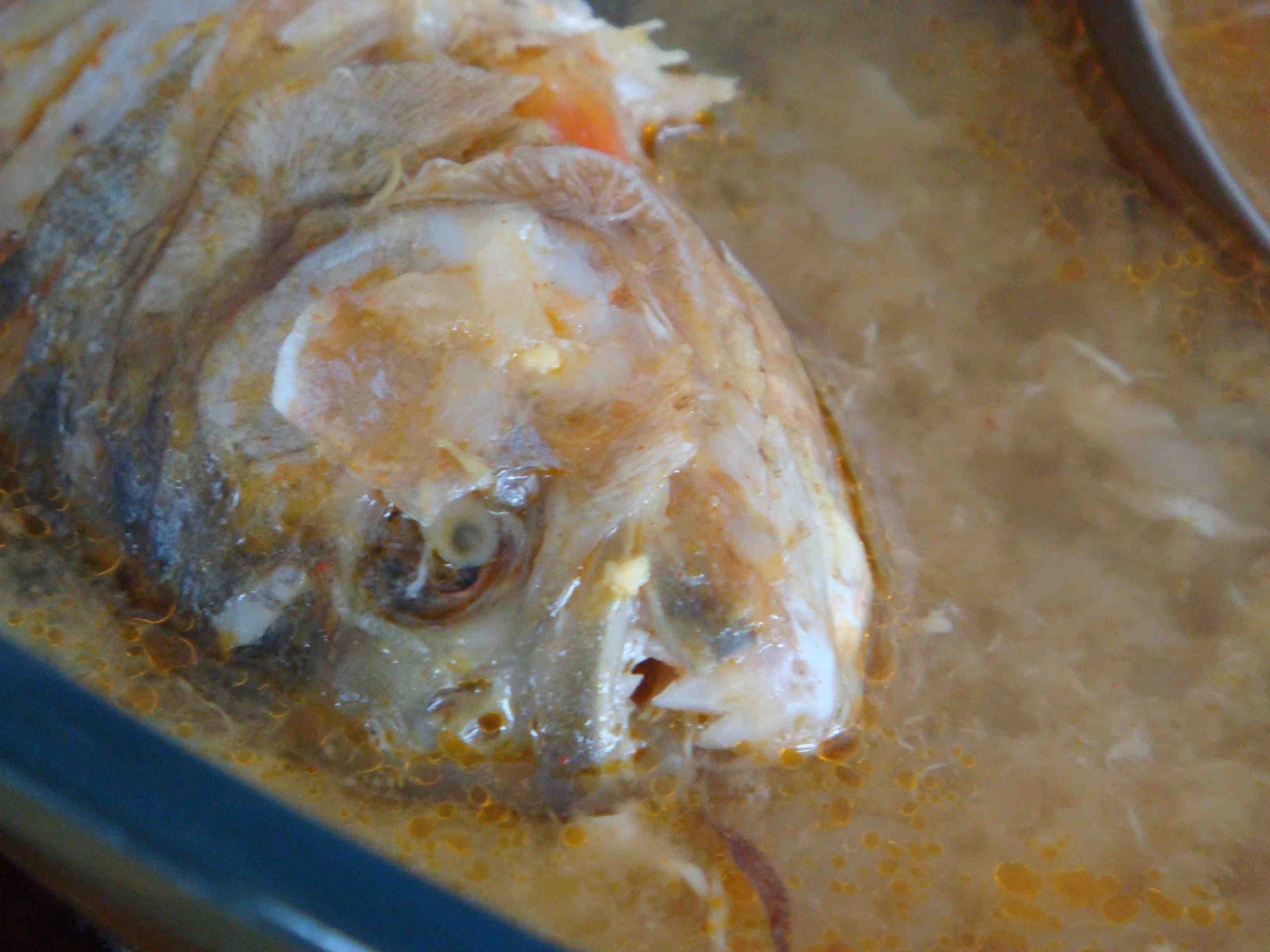 home sweet biome: So Easy, A Caiman Could Do It