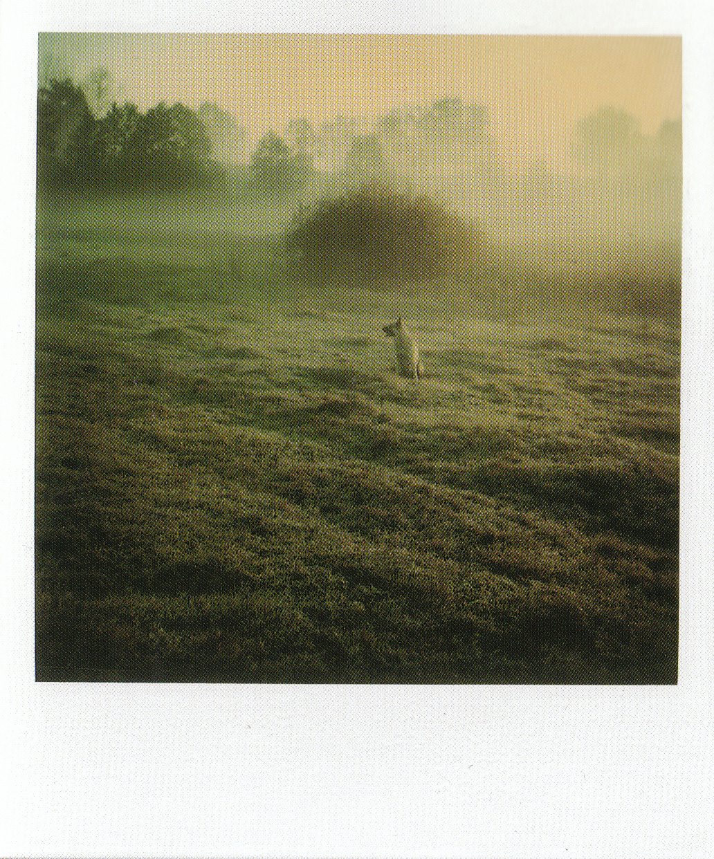 Slavenka & Obi: Andrei Tarkovsky's Polaroids