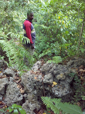 GLOBALWISE SOFTNET & GRAPHIC DESIGNER