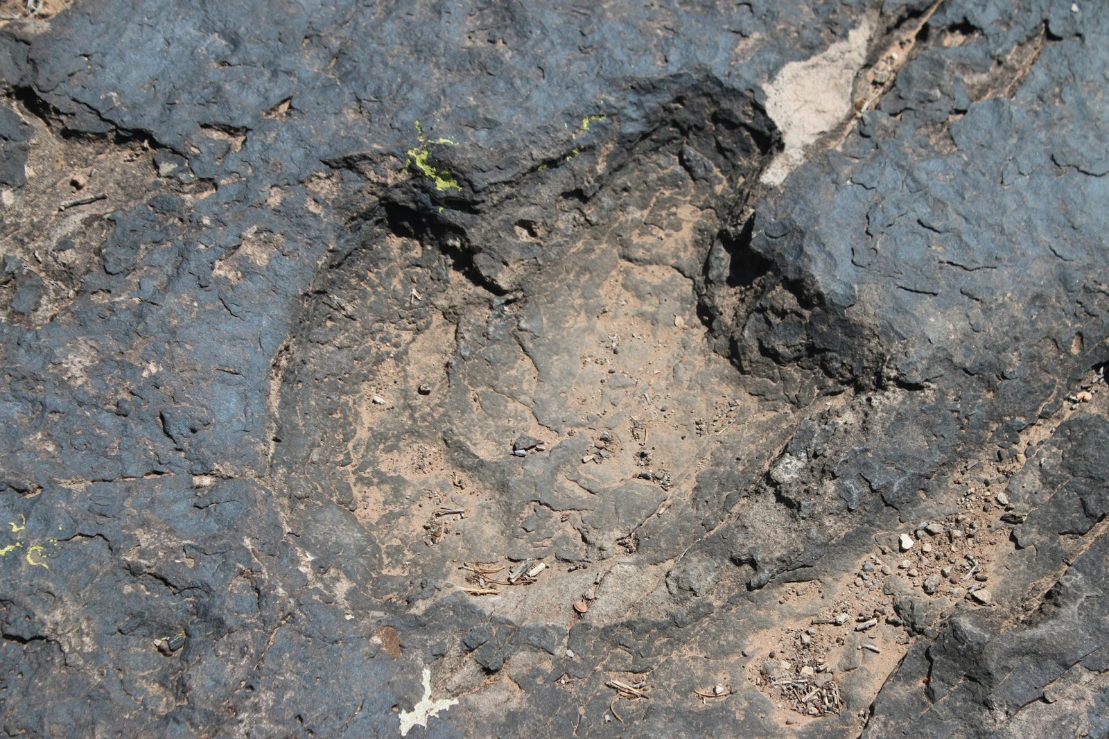 gjhikes.com: Bull Canyon Dinosaur Tracks