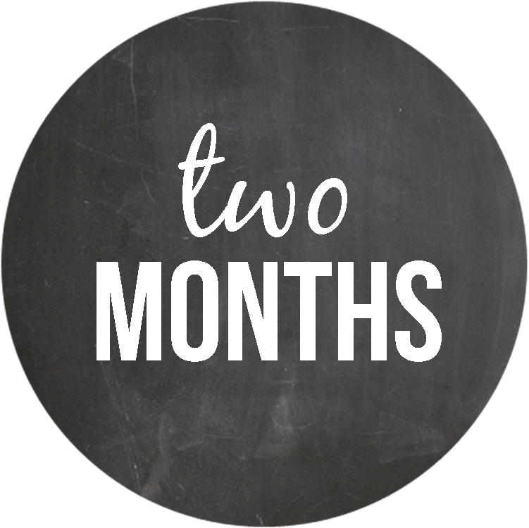 2Months.png (751×750) | Little baby garvin, Monthly baby chalkboard ...