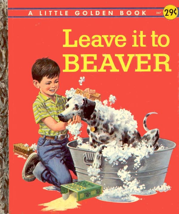 Beaver Washing Trouble | The Right Profile