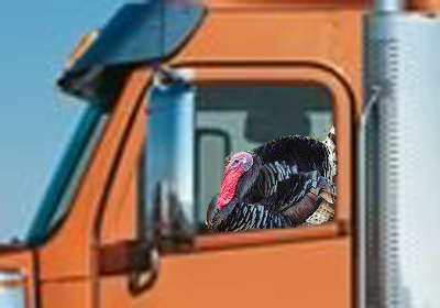 TruckinEd: Happy Thanksgiving