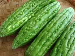 PHILIPPINE HERBAL PLANTS AND THEIR USES: AMPALAYA