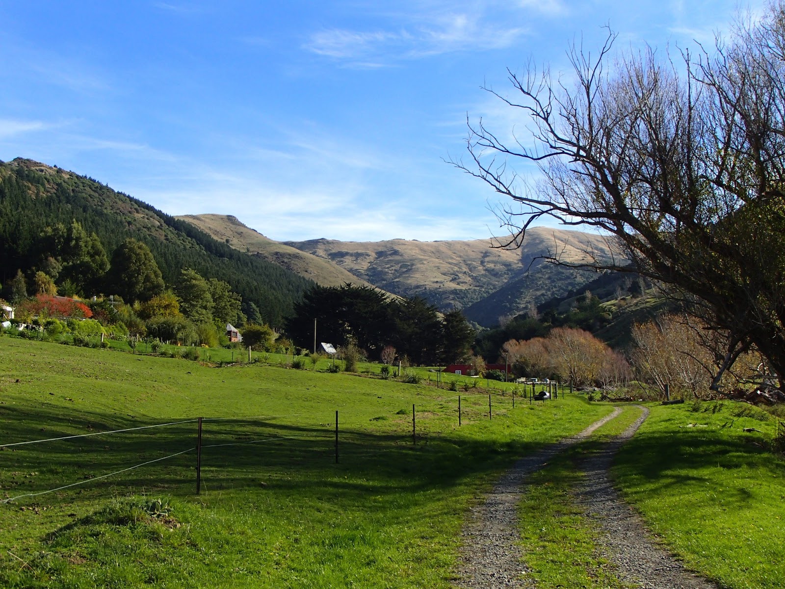 Little River / one more home in New Zealand
