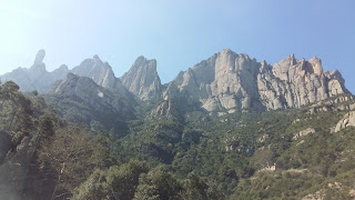 CANARIAS: HISTORIAS NATURALES.: 2016