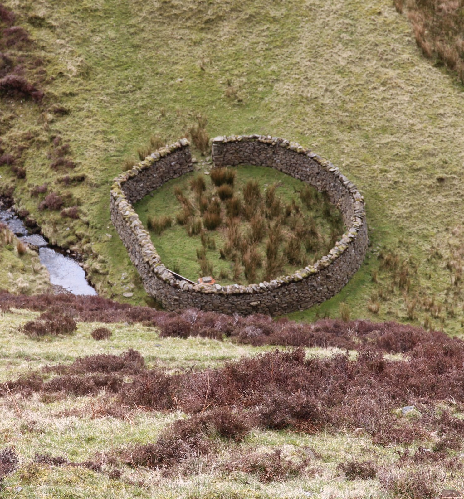 Neil's Hillwalking Exploits: Roan Fell