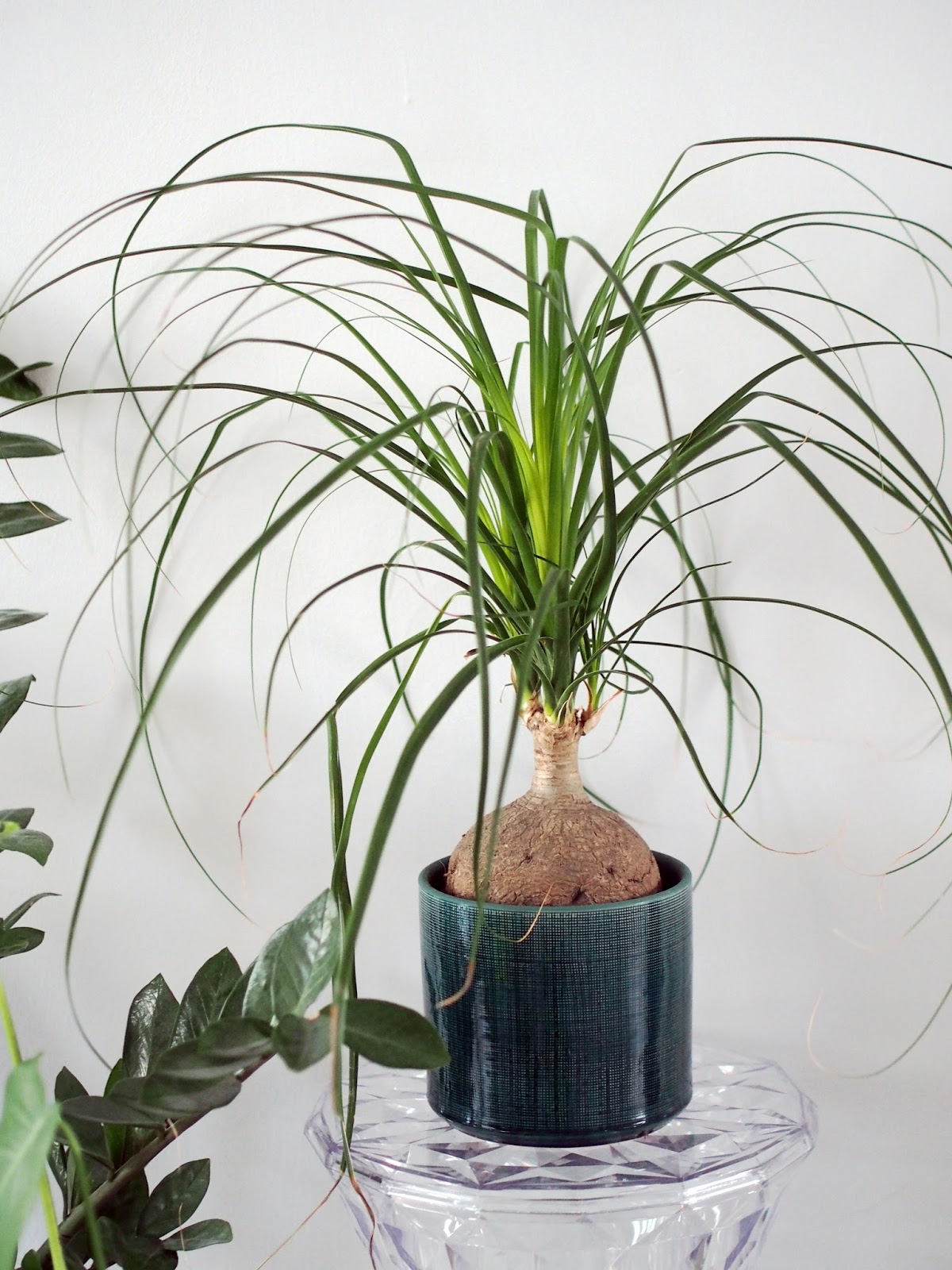 Pallomainen huiskupullojukka ja arvontamuistutus | Valkoisen vuoren ...