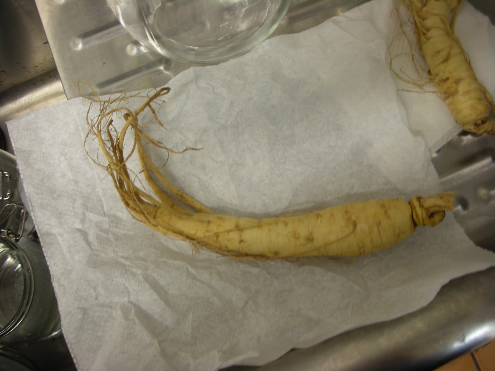 World Ginseng Herb: American Ginseng Wine Making