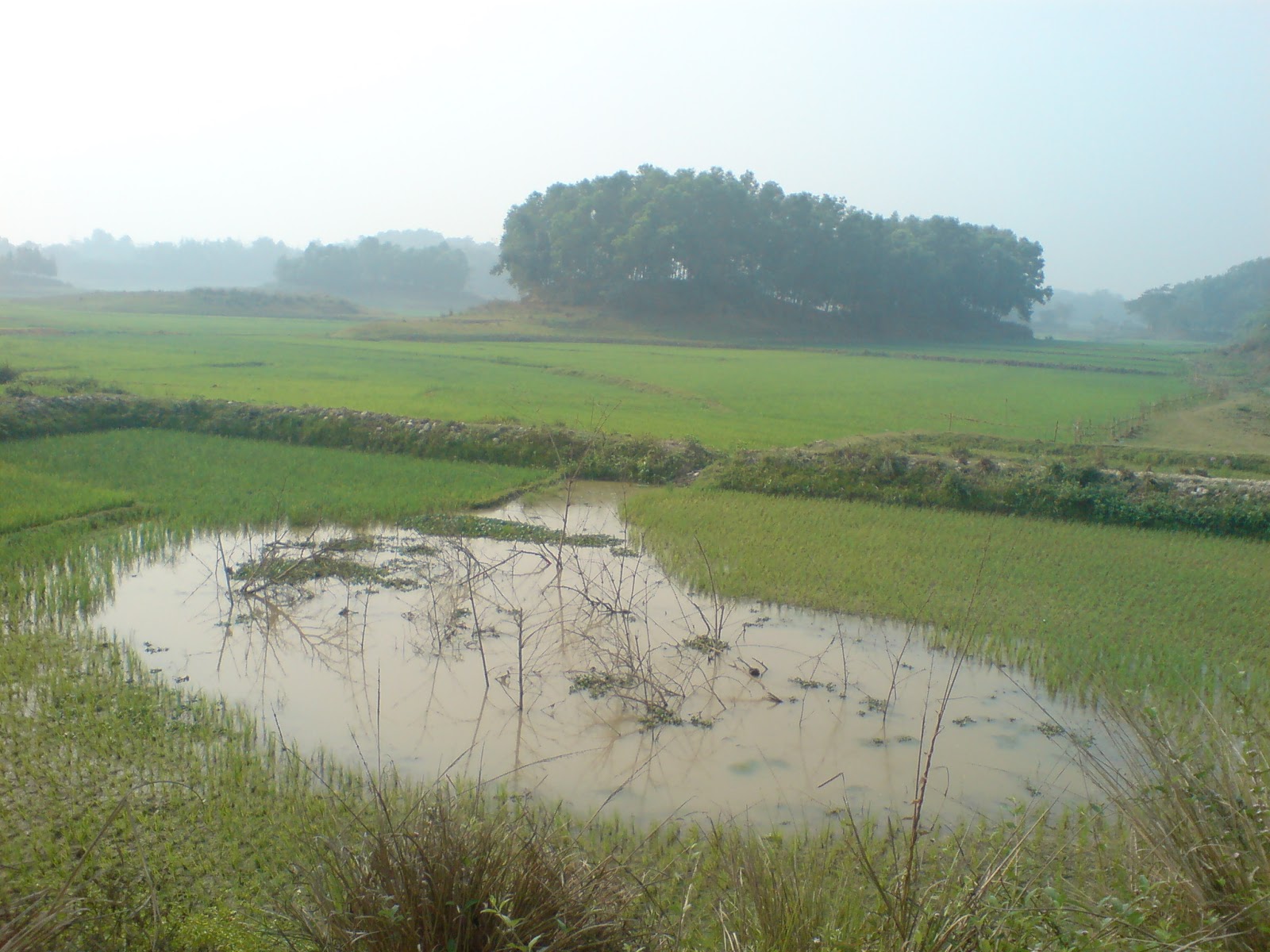 AMAZING BANGLADESH: HAKA LUKI HAOR