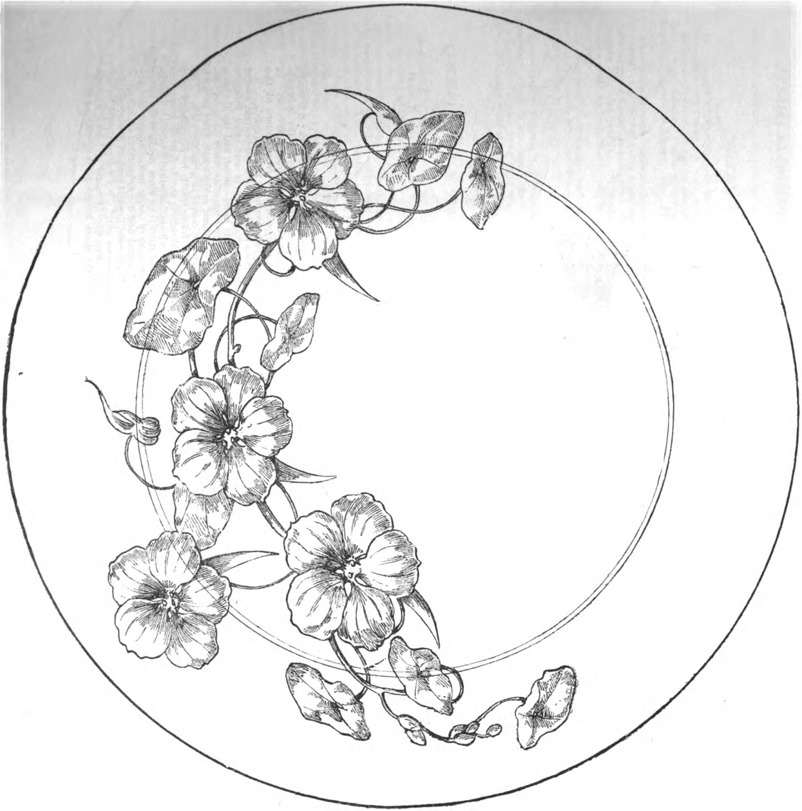 19th Century Historical Tidbits: 1885 Dish patterns