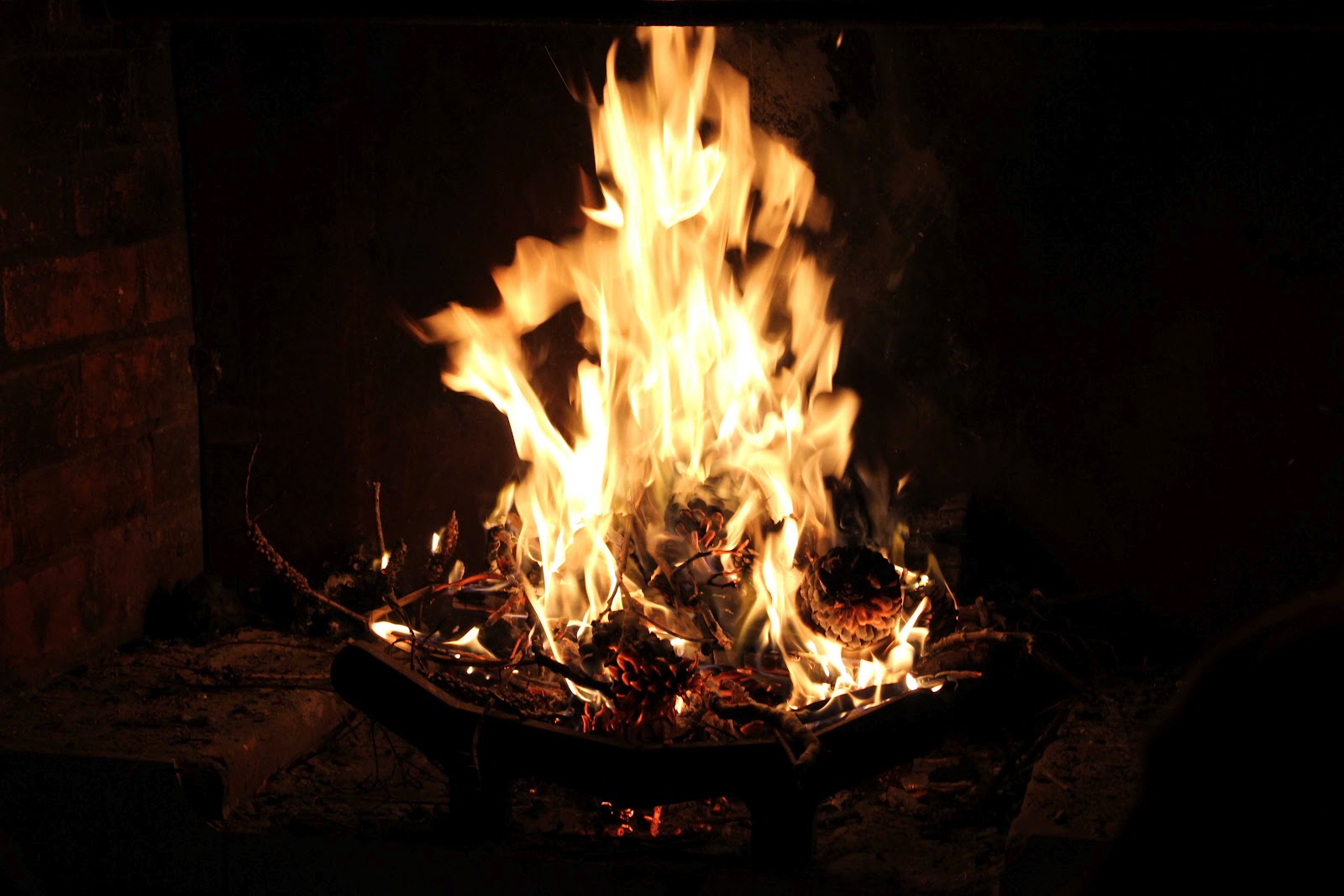 Wilder: goodbye winter (we might miss you!)