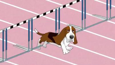 NOS PETITS FRERES LES ANIMAUX: Le chien de télé z au J O de Londres