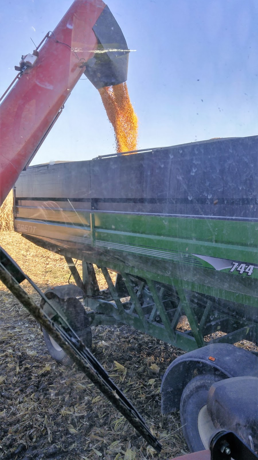 Corn, Beans, Pigs and Kids: Farm Friday - Harvest Happenings