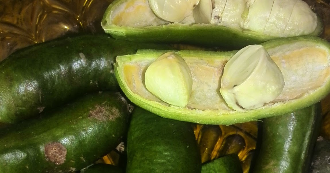 namakucella: BUAH GENUAK @KERDAS...PETAI..ULAM RAJA