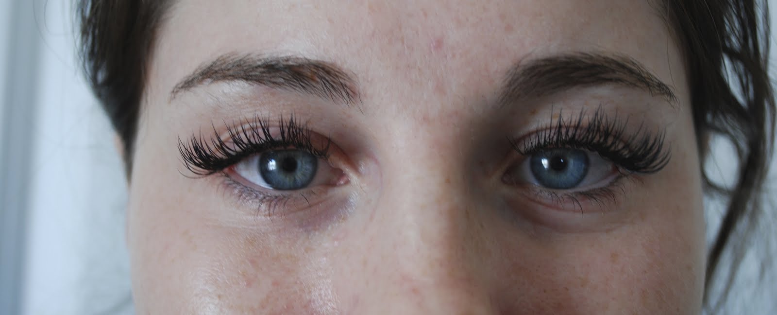 Professional Single-Lash Volume and Classic Eyelash Extensions in SLC ...