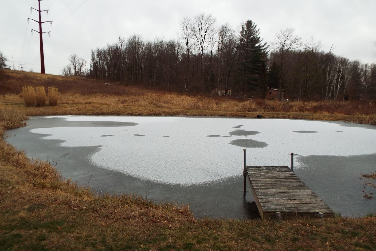 The Puddle Pond: January 2016