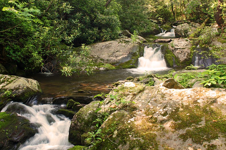 JOYFUL REFLECTIONS: Waterfalls along Parson Branch Road, Smokies