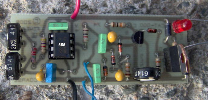 A Cat or Dog Detector - EveryDay Electronics