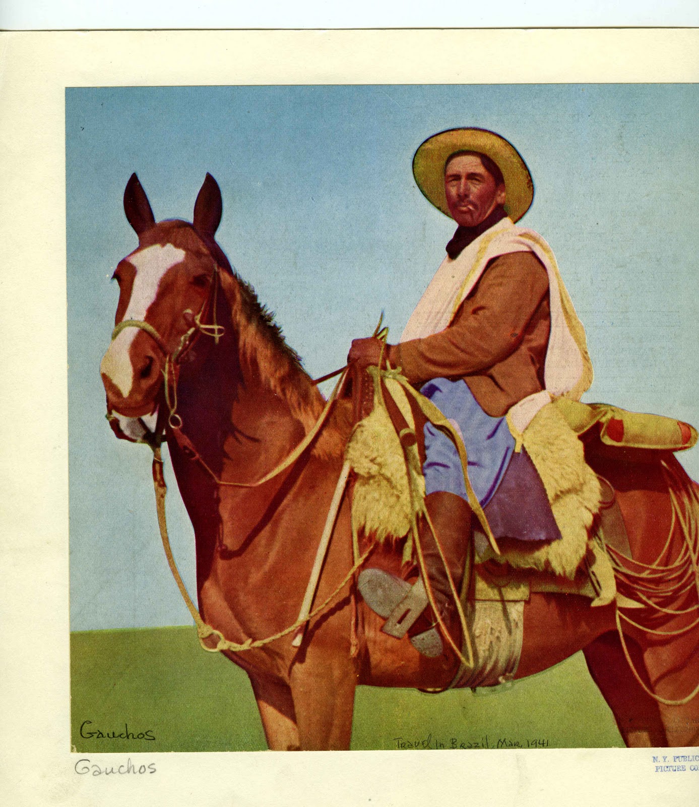 A is for Aye-Aye: An Abecedarian Adventure: F is for Forest and G is ...