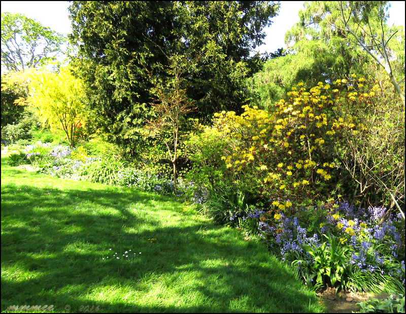 My Garden: April 19th visit to Playfair Park