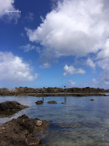 Hawaii Mom Blog: Pupukea Tide Pools
