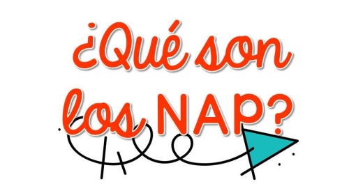 ¿Qué son los NAP? - Material Didactico para tus clases