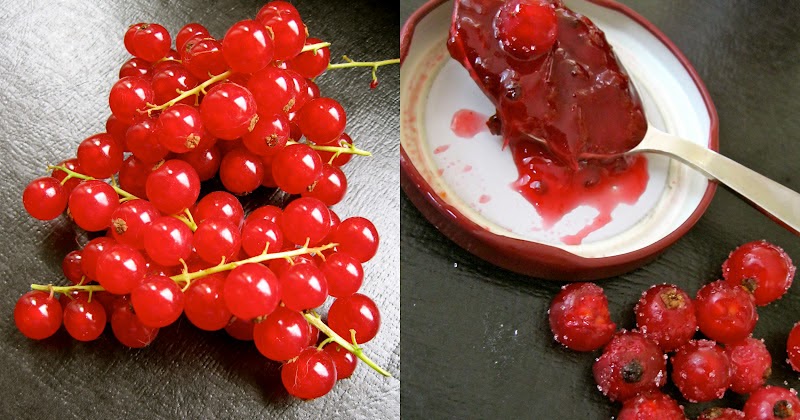 Red Currants Chutney - Few Minute Wonders