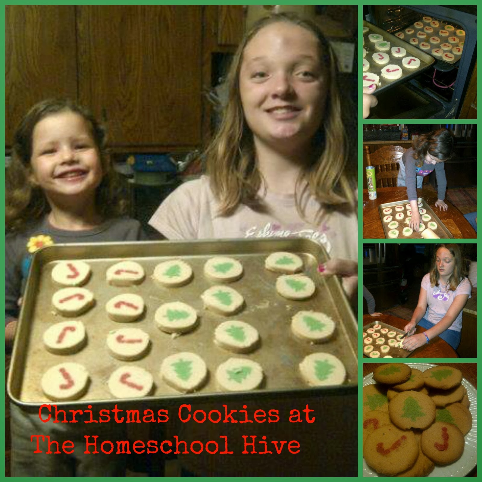 The Homeschool Hive: Christmas Cookie Baking FLOP!