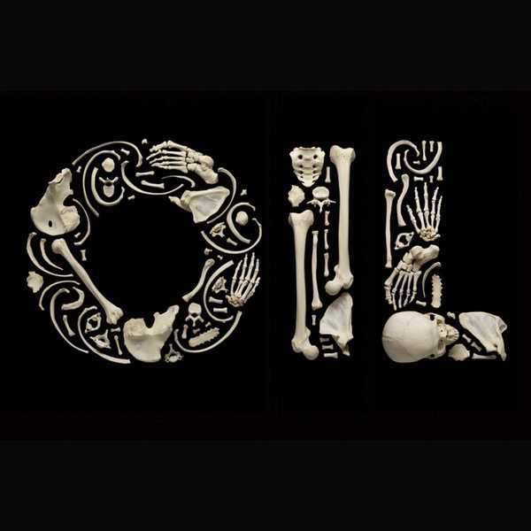 Simply Creative: Bone Art by Francois Robert
