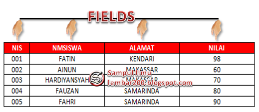 Apa Yang Dimaksud Dengan Tabel, Field dan Record - Sampul Ilmu