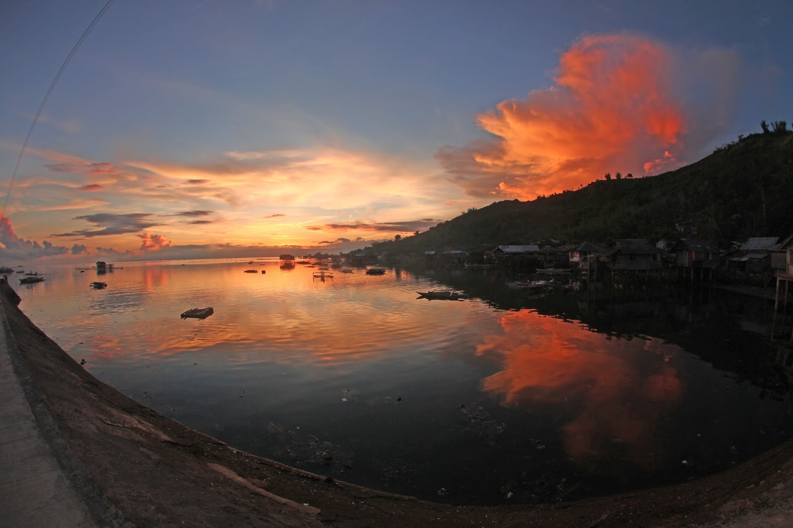Wild Dolphins in the house - Tanon Strait - PaparazSea