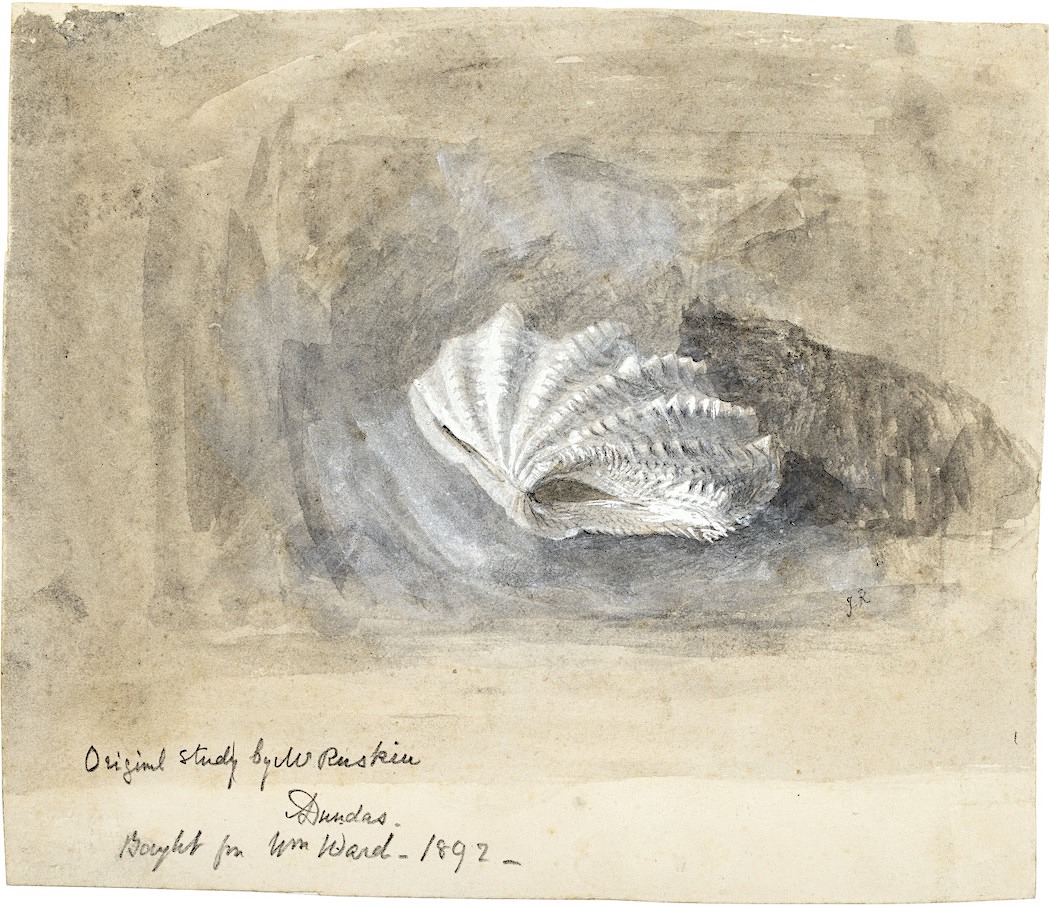 John Ruskin (1819 - 1900) Study of a Shell, ca. 1870 Watercolour over ...