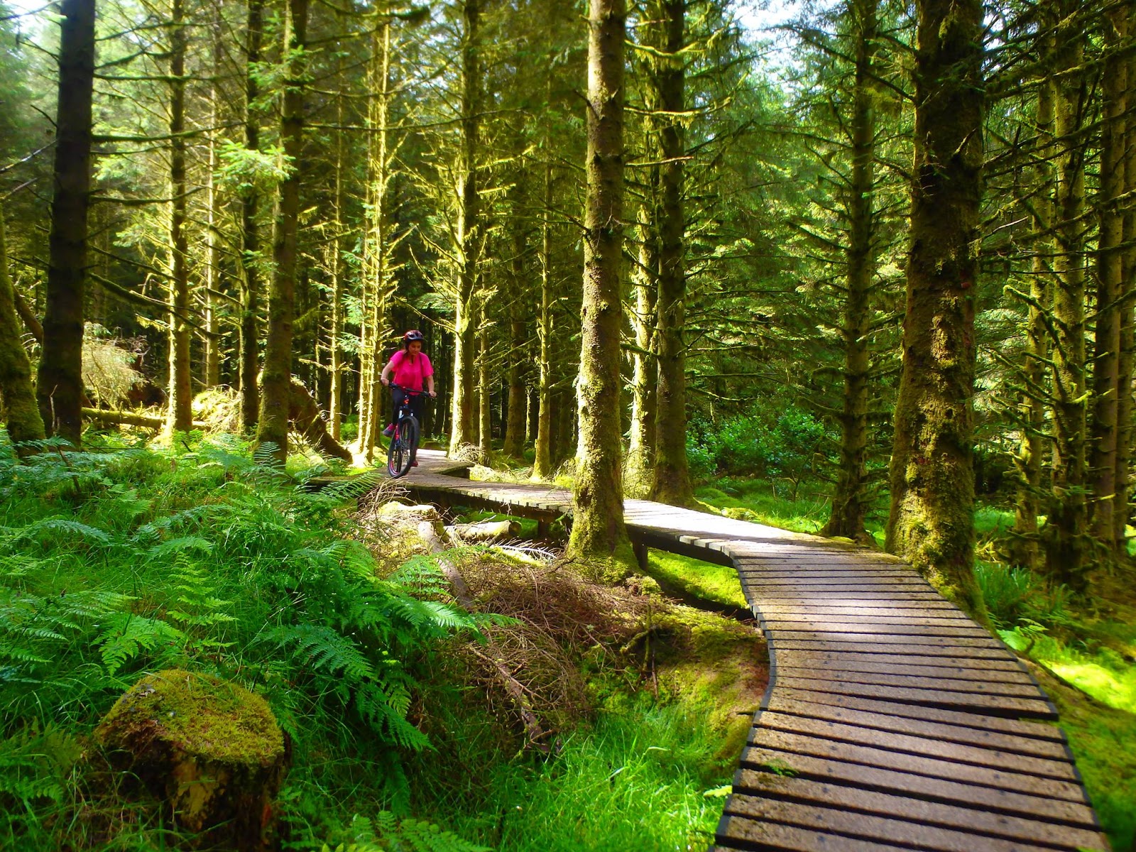 Put a visit to Ballyhoura on your Bucket List - Snap Happy Travel