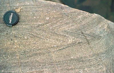 Perlapisan Batuan Sedimen (Bedding Structure) - Guru Geografi