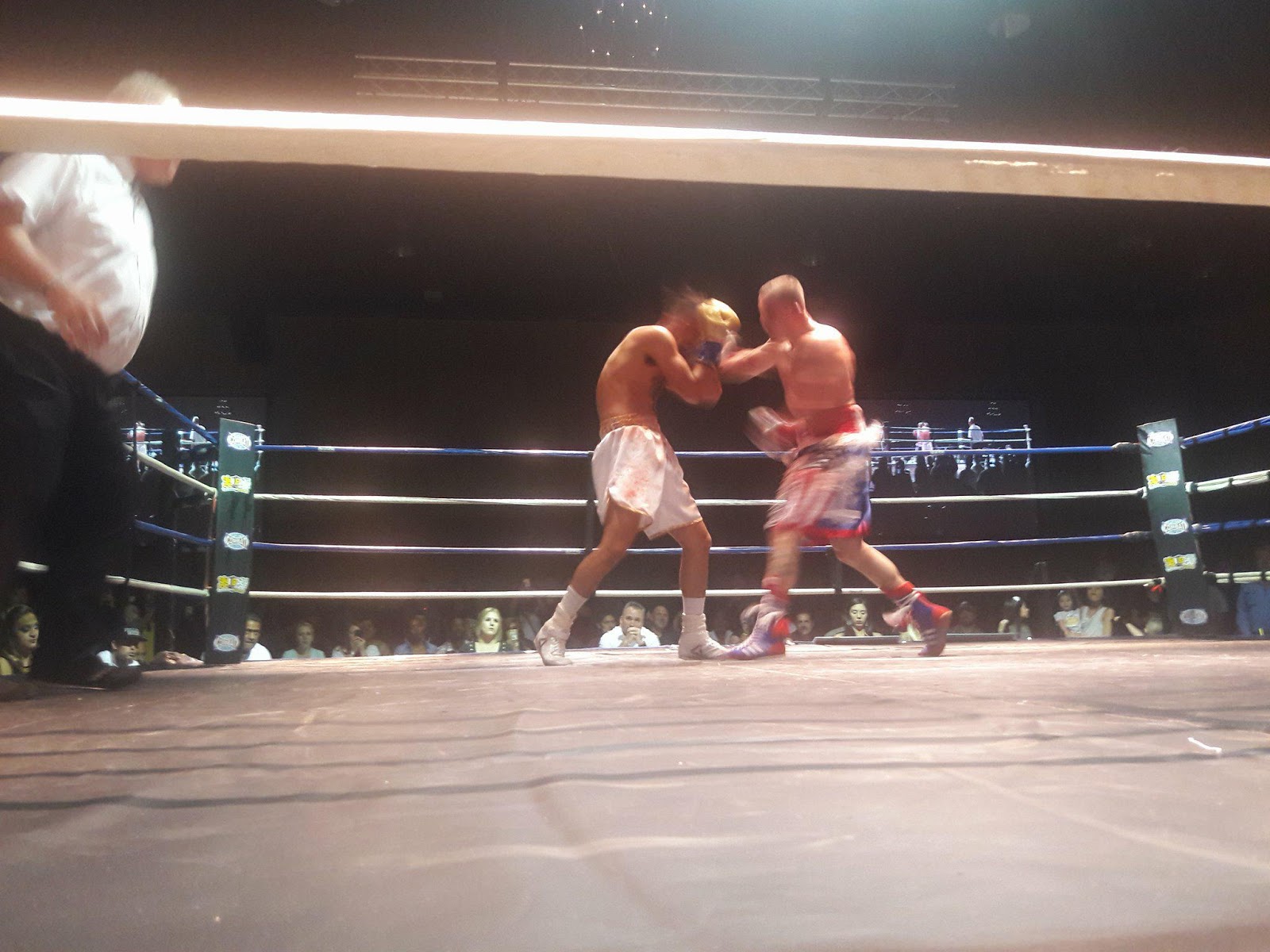 Utah MMA and Boxing : Gomez wins ABO title but fails to stop resilient ...