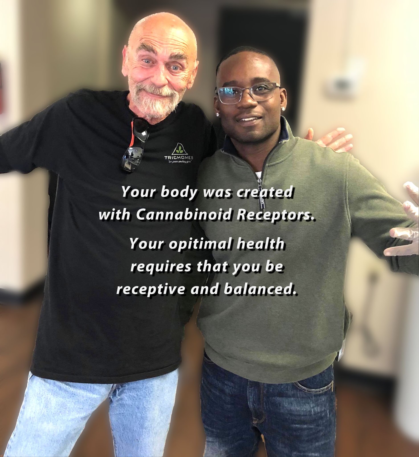 My Cannabis Health: The Endocannabinoid System Primer