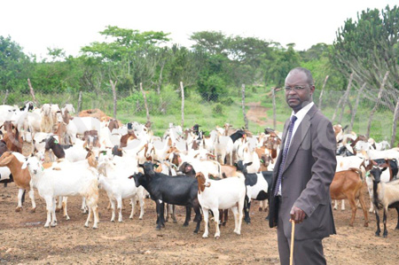 Hamish In Auckland: Uganda: Goat Farming with President Museveni.