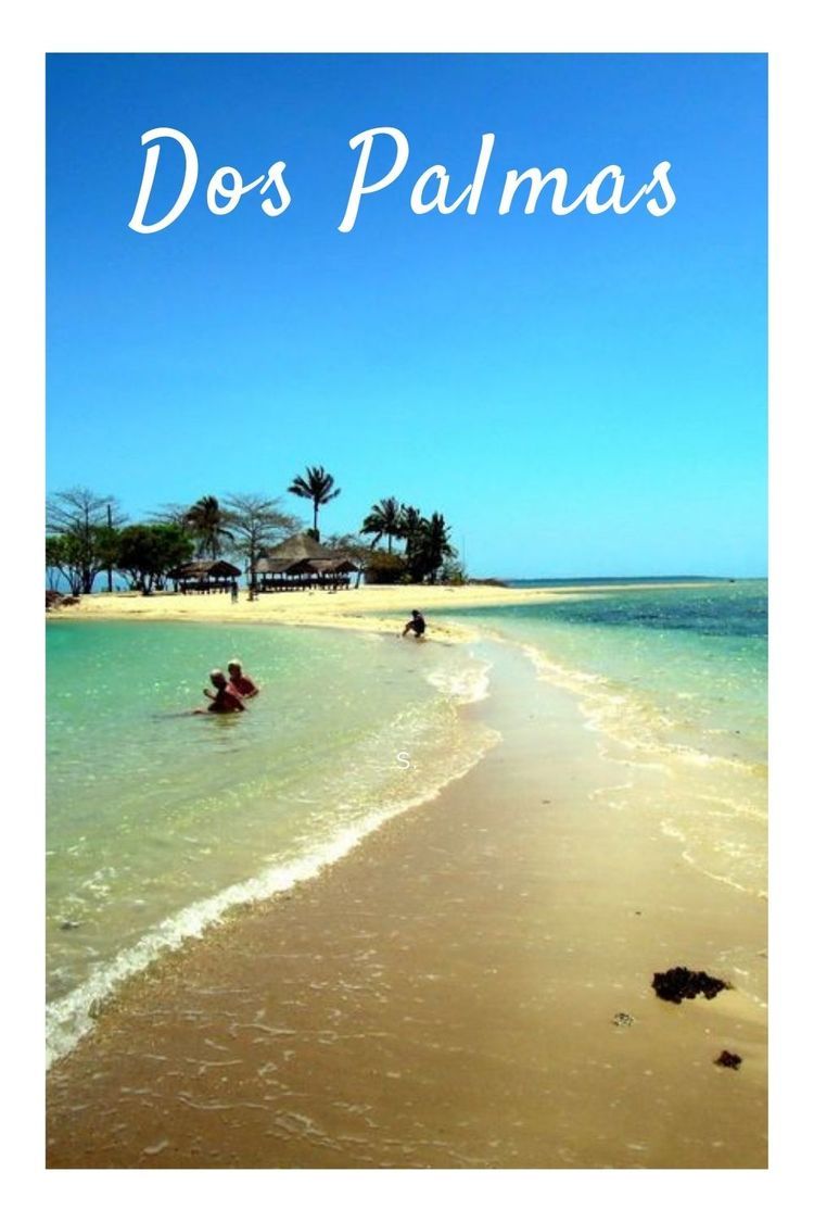 6 Top Things To Do In Dos Palmas Island Resort And Spa [With Kid ...