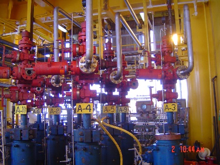 My Knowledge Sharing: Wellhead Platform