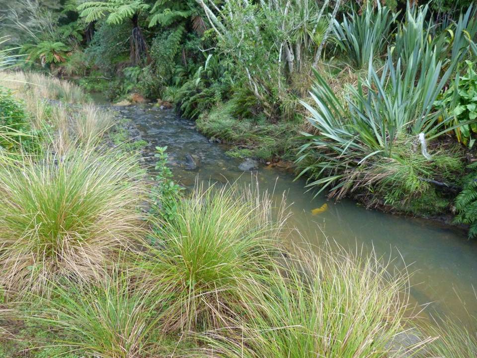 Erosion Control Around the World: New Zealand: Natural Stream ...