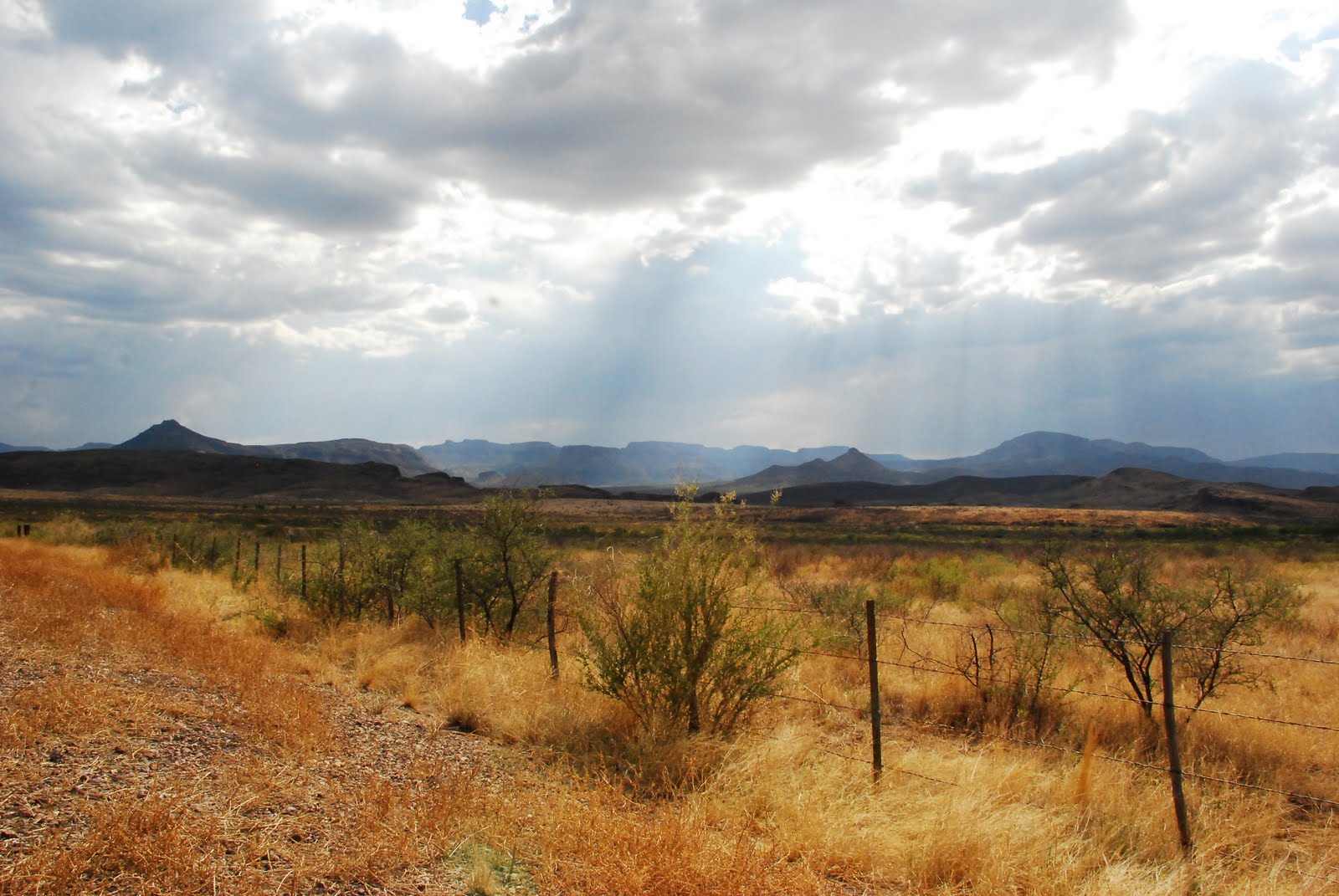 Simple Lovely: Scenes from Marfa -- Part Two