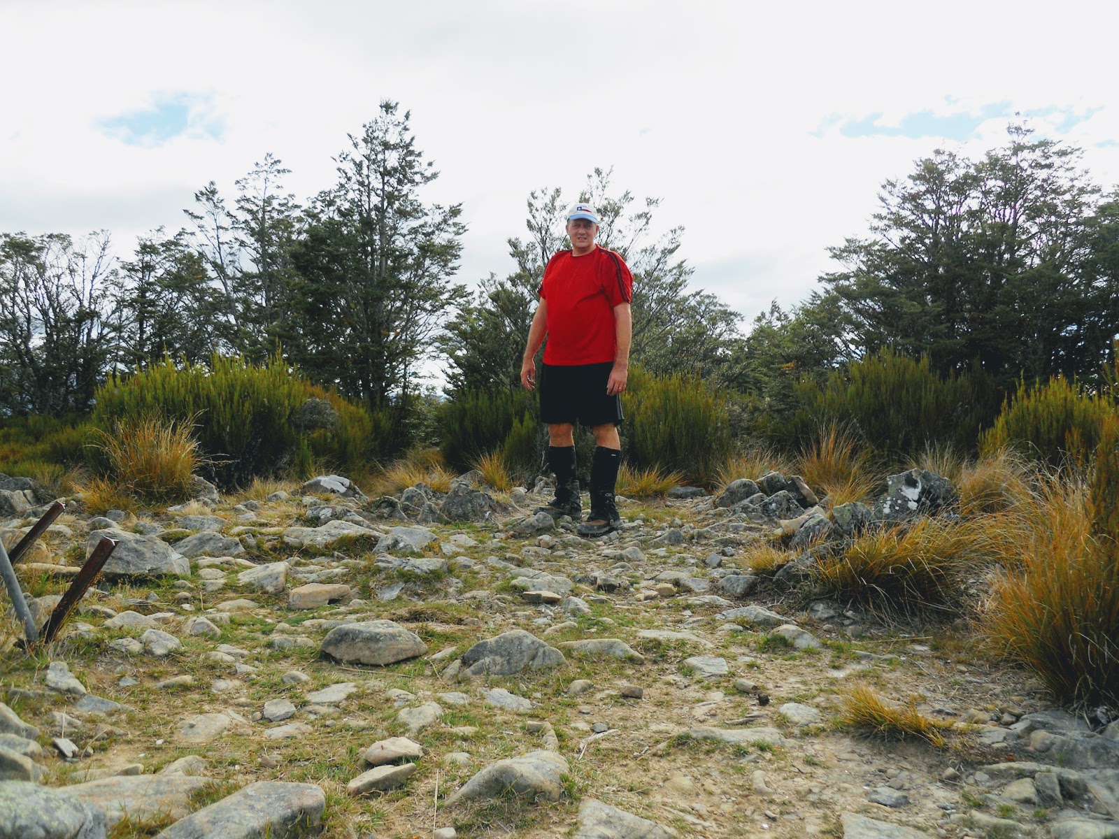 Tramping in the New Zealand backcountry: NZ Bush Adventures: My ...